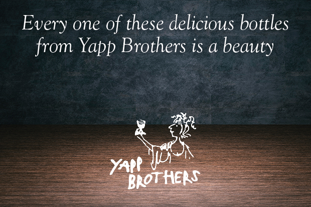 Wine Club: six beauties from Yapp Brothers | The Spectator